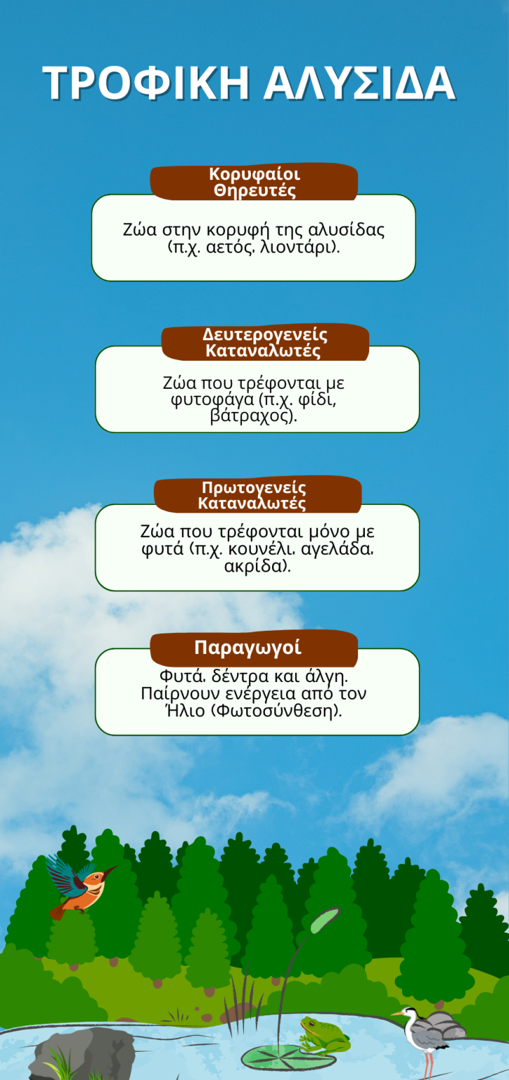 Μαθαίνω μέσα από την εικόνα: Η Τροφική Αλυσίδα – Πληροφορική και ...